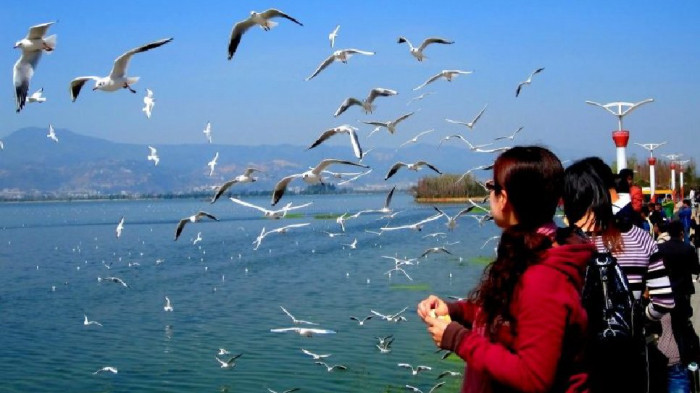 Tour Trung Quốc: Lệ Giang - Shangrila 5 ngày 4 đêm từ TP.HCM