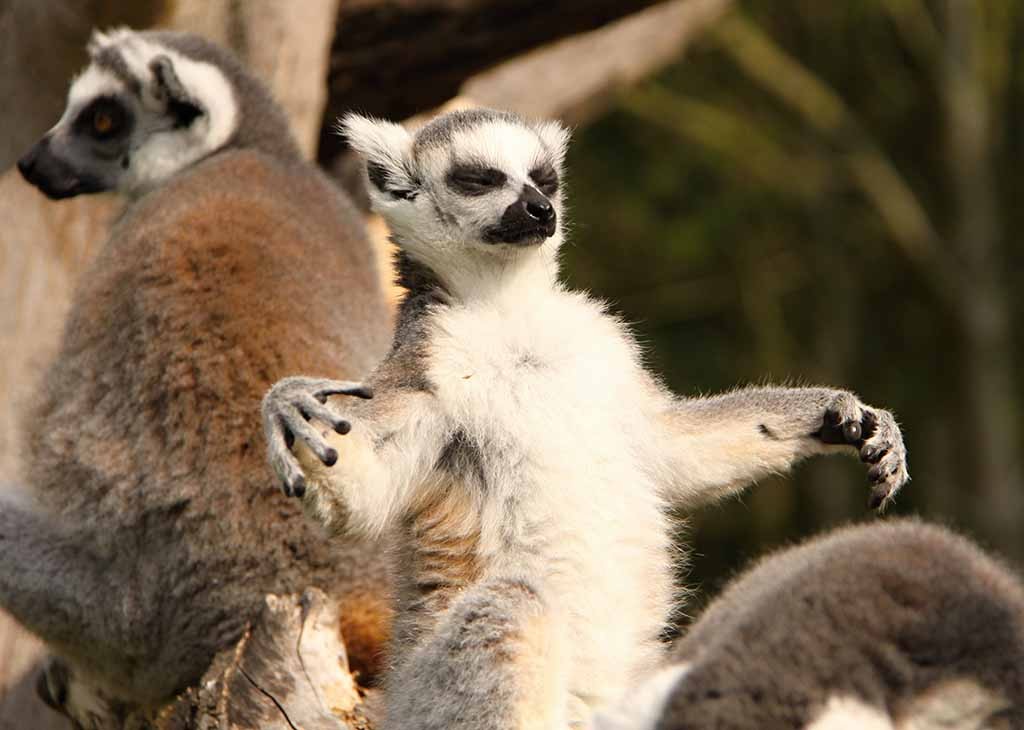 Tour Úc: Melbourne - Sydney 9 ngày 8 đêm từ Hà Nội