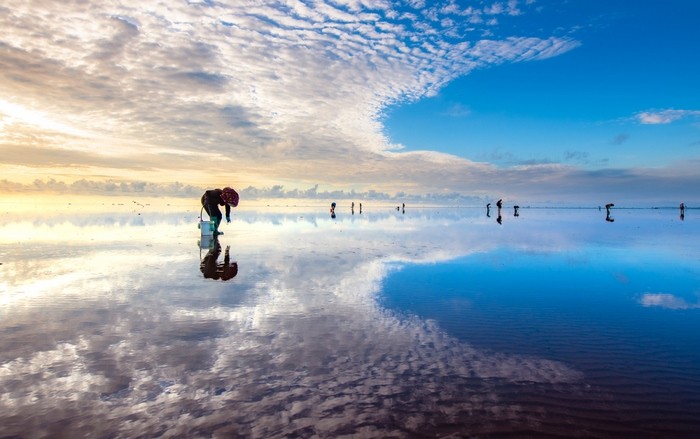 Tour Thái Bình 1 ngày từ Hà Nội - Checkin bãi biển vô cực